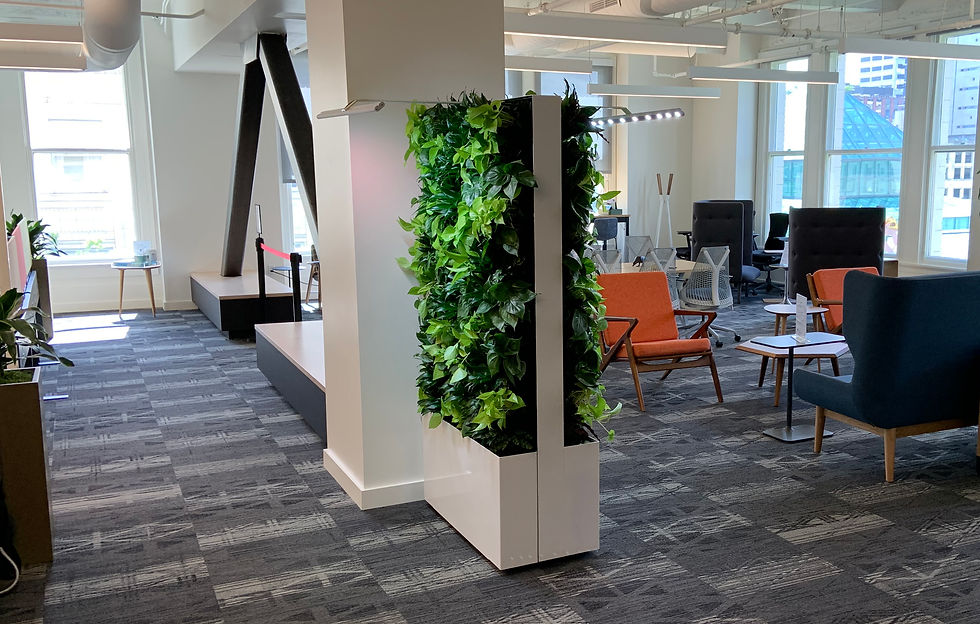 GSky Plant Systems, Inc | Living Green Wall Systems