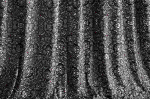 SAMPLE Emilia Cherry Jewel Velvet Fabric | DAMI & EM DESIGN