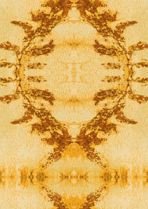 DAMI & EM DESIGN | Luxury Wallpaper, Fabrics and Home Accessories