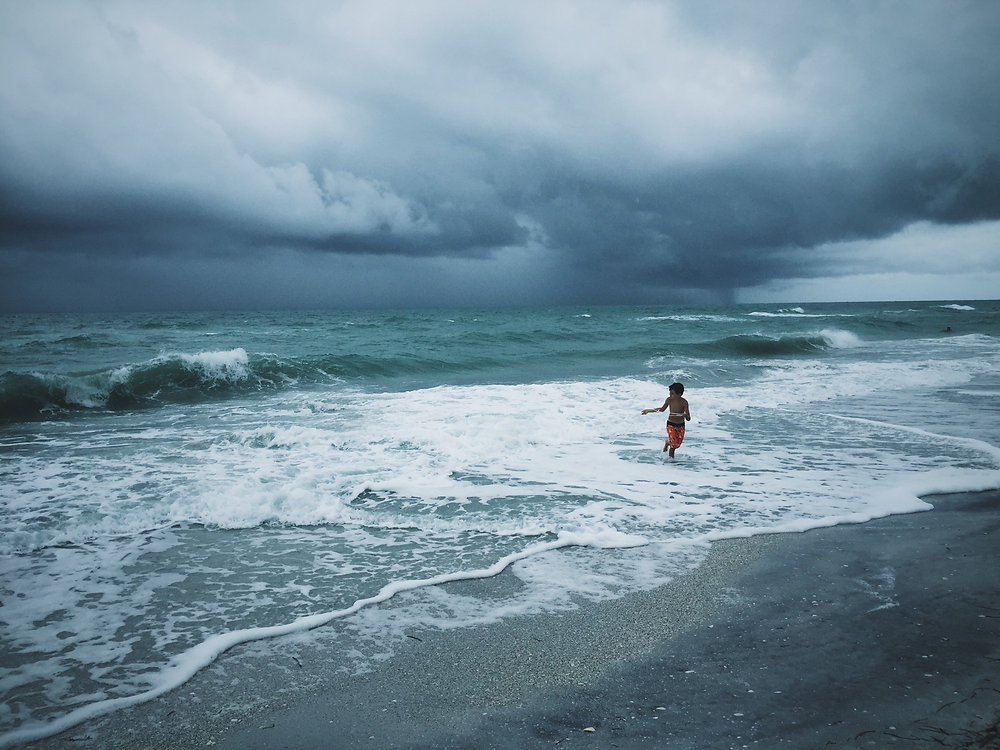 Top 5 Beaches in Seattle, Washington You Need To Visit