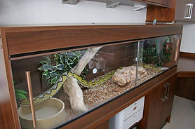 vivarium builder