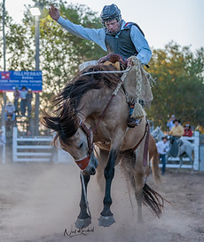 Entertainment | millmerranshow