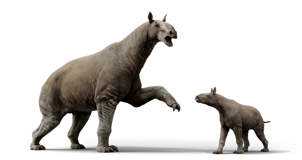 Moropus | Forgotten Bloodlines