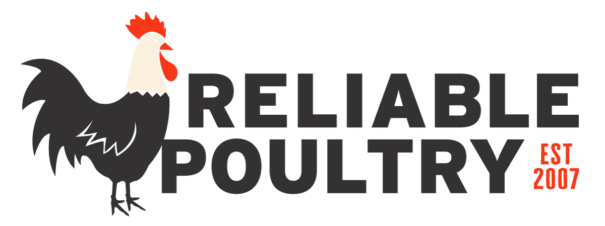 Reliable Poultry | Poultry Producing Solutions