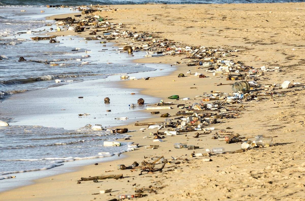 DO HUMANS HURT OR HELP THE PLANET?