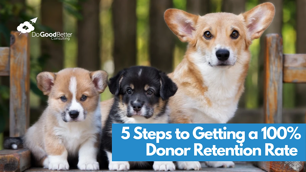 5 Steps to Getting a 100% Donor Retention Rate for Your Nonprofit