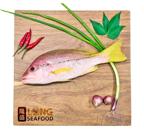 Kee Fish | Longseafood