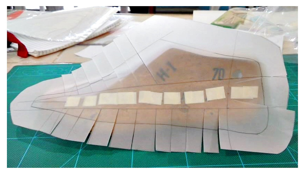 The MASIDO Training Programs