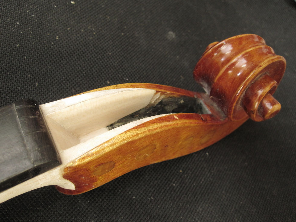 Neck grafts on fine violins, violas and cellos in violinmaking. | luthier
