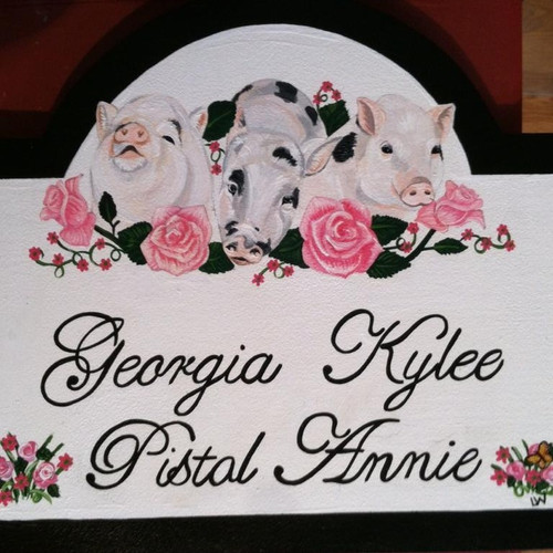 Custom Hand Painted Stall Signs | LorisArtRoom.com