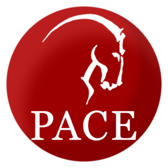 CURRICULUM | PACE Int. Academy