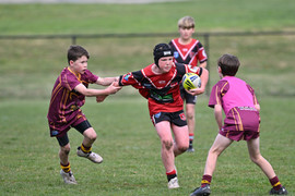 Kiama Knights | Australia | Kiama Knights Rugby League Football Club