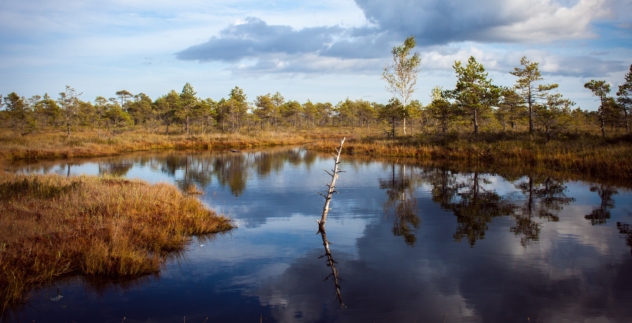 Surface Water Drainage Strategies | GeoSon