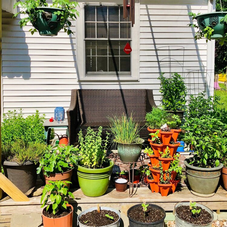 "How to Create Stunning Container Gardens for Small Spaces"