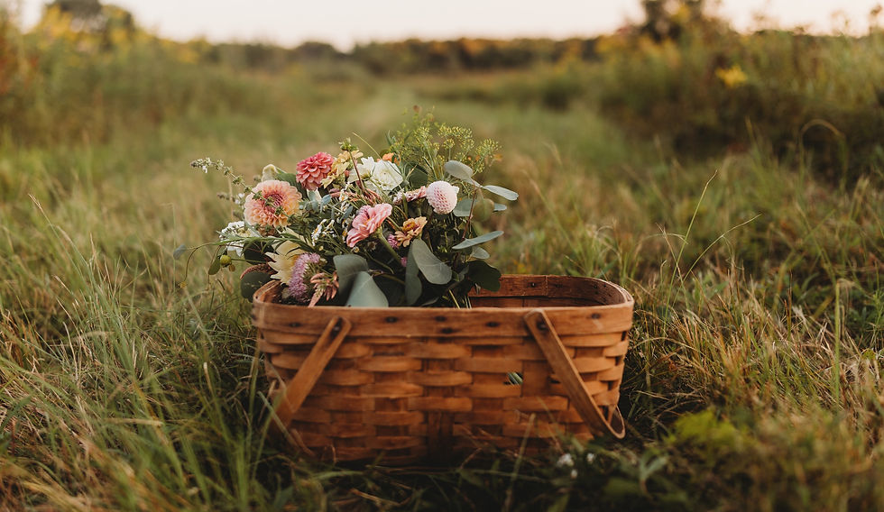 Fresh Cut Flowers | Flowers On Faussett | Howell