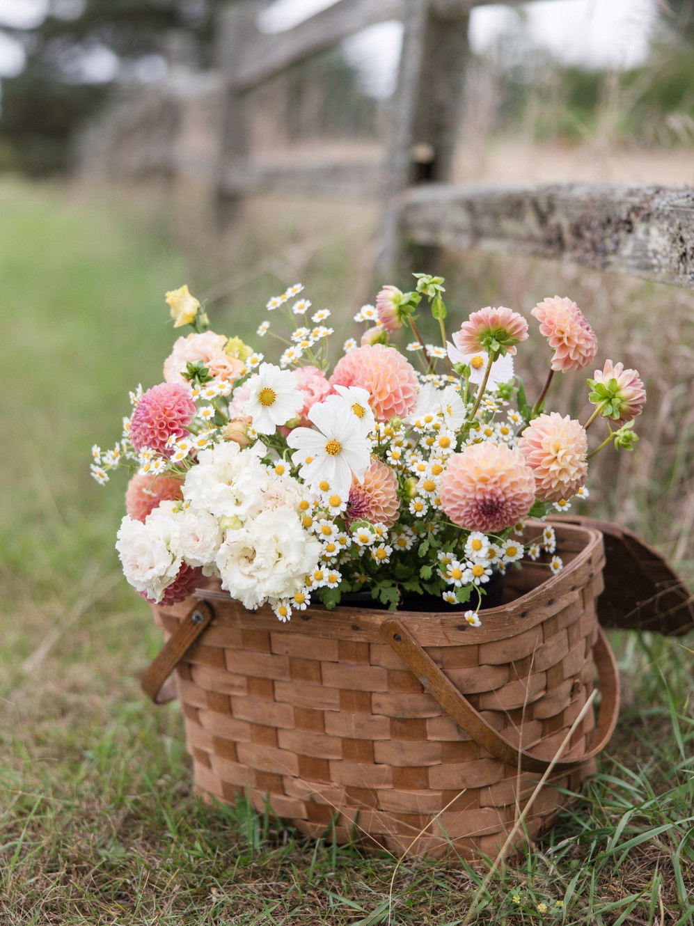 Fresh Cut Flowers | Flowers On Faussett | Howell