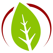 FSI