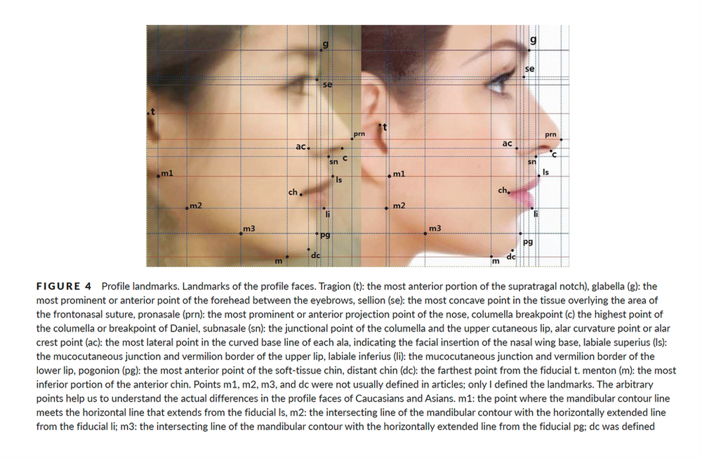 Differences between Caucasian and Asian Attractive Faces