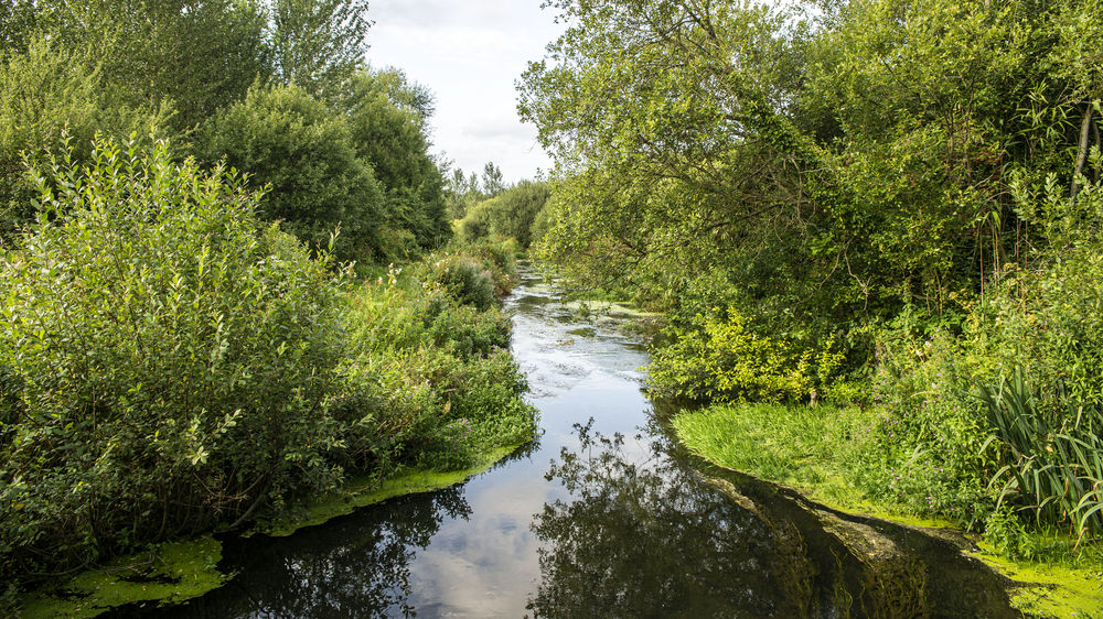 The River Wylye