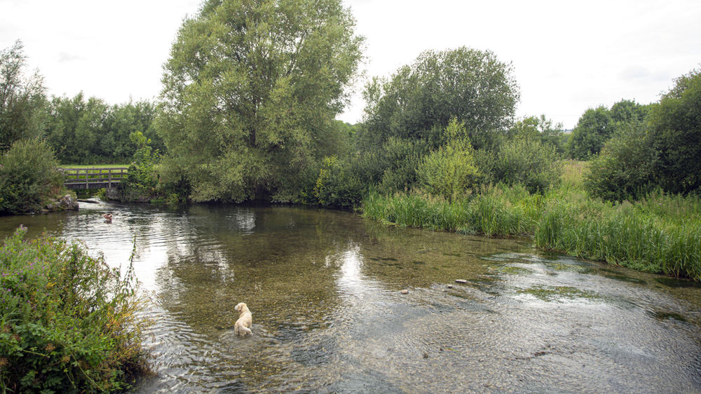 The River Wylye