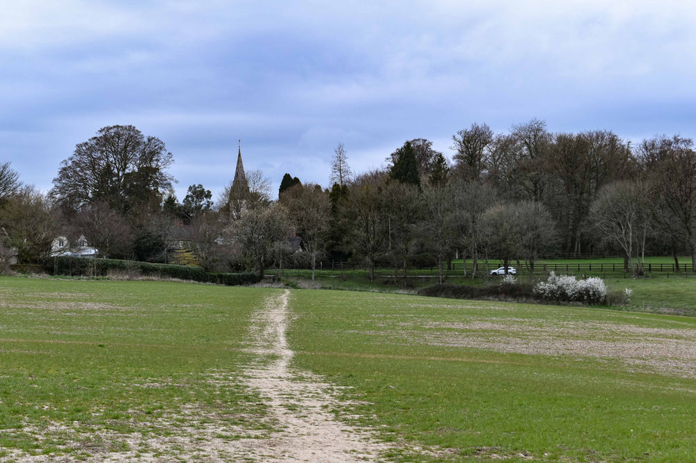 The Fonthill Estate