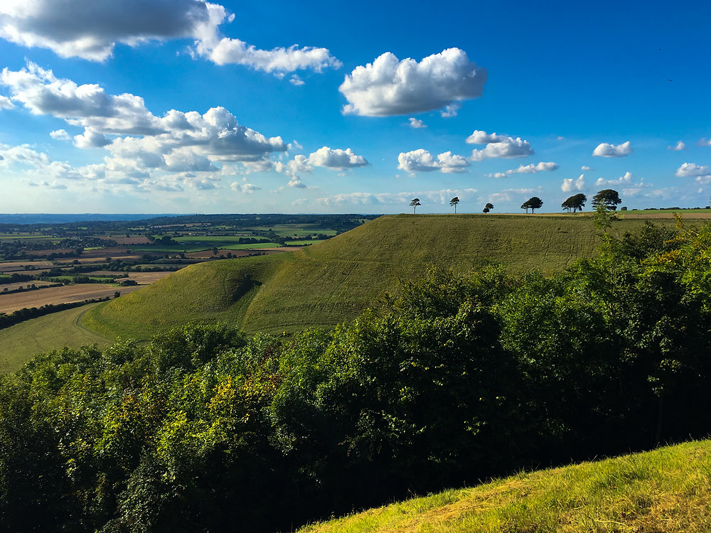 Roundway Down, Devizes
