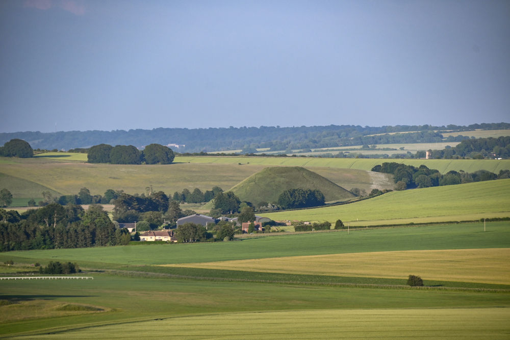 Beckhampton Gallops and Witches Plantation