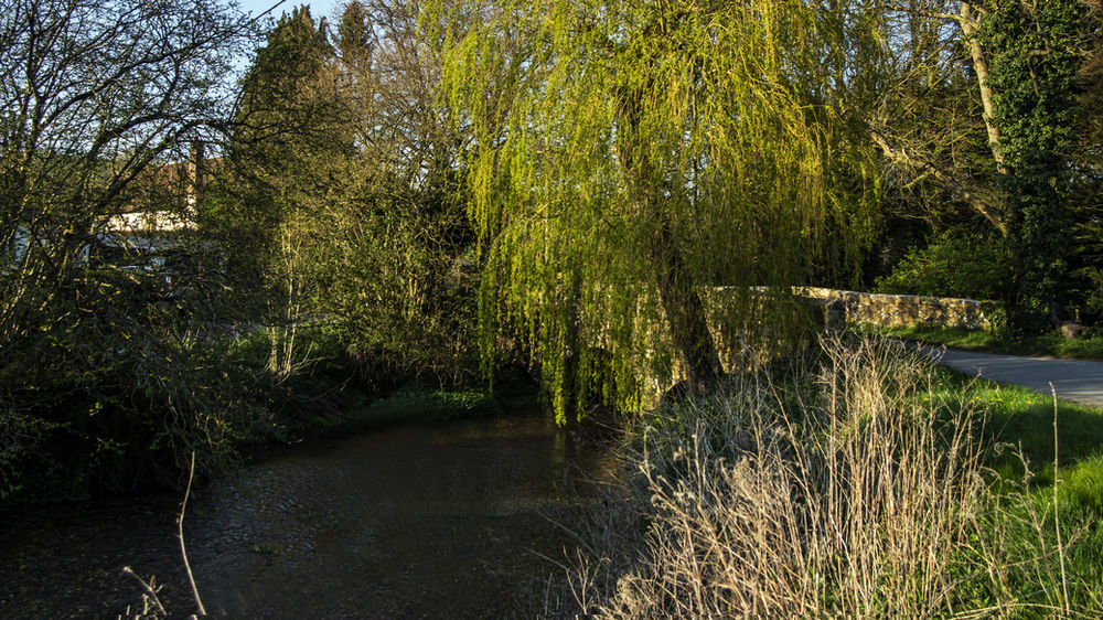 The River Wylye