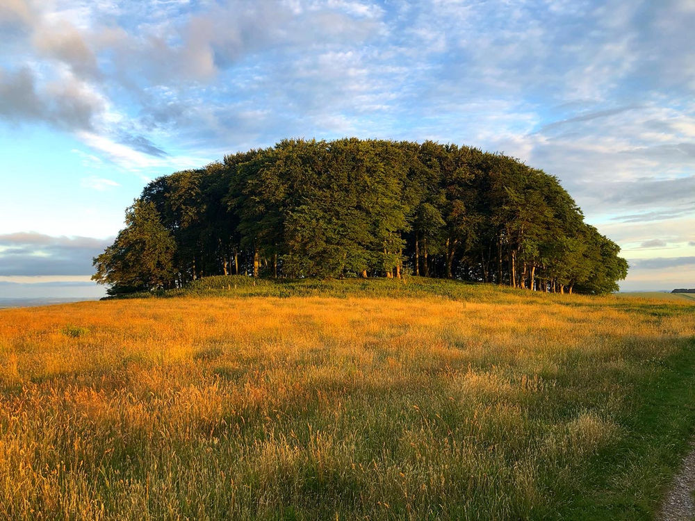 Furze Knoll