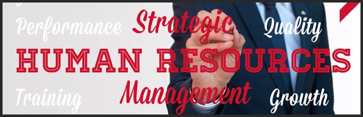 Why Human Resources is Important for the Success of Small Businesses