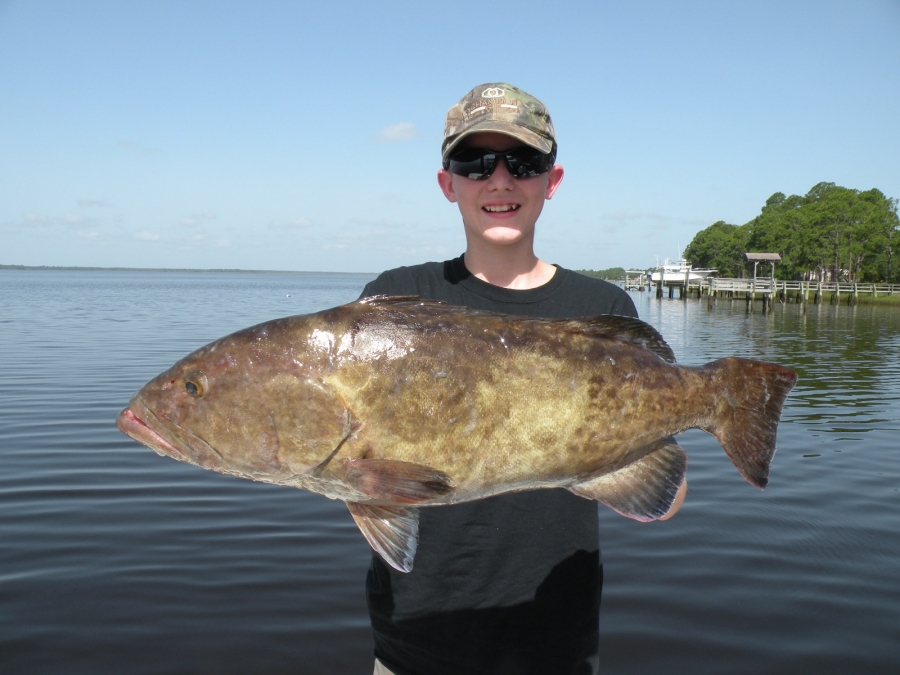 FISH DOCKTOR HANDLES