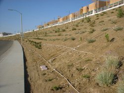 Drip irrigation precipitation rate and irrigating slopes | Commercial ...