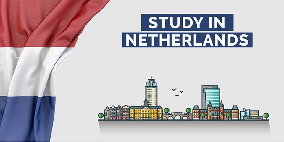 Here is Why You Should Study in the Netherlands