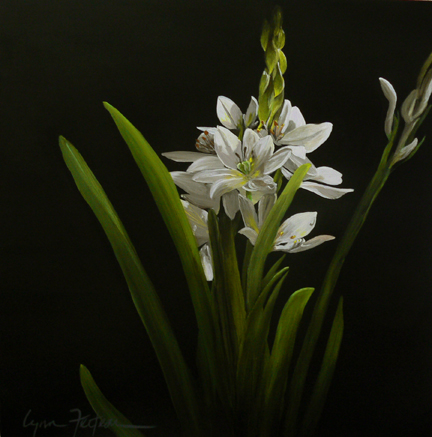 Lynn Fecteau | Reef Gallery Inc