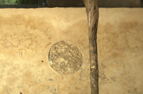 Building a Sustainable Haven: Coco-Crete at Ekumal