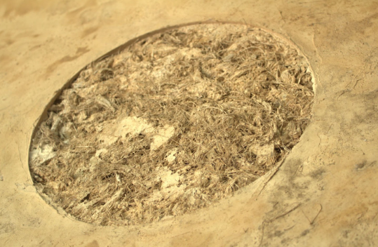 Building a Sustainable Haven: Coco-Crete at Ekumal