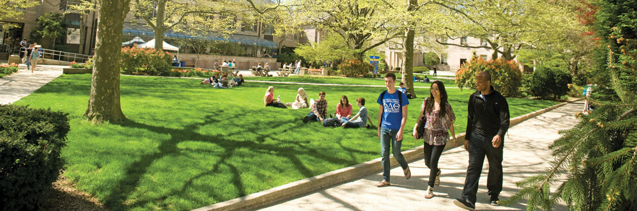 INTO Hofstra University