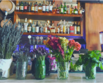 Welcome to Foxtail Kitchen & Bar | SB