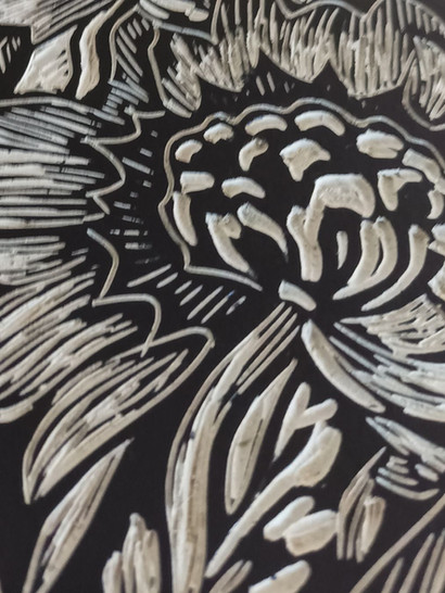 About me | Clare Morgan Printmaker | Derby UK