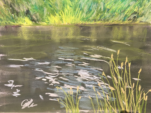 Roley Pool Reserve | theinnercreativeself