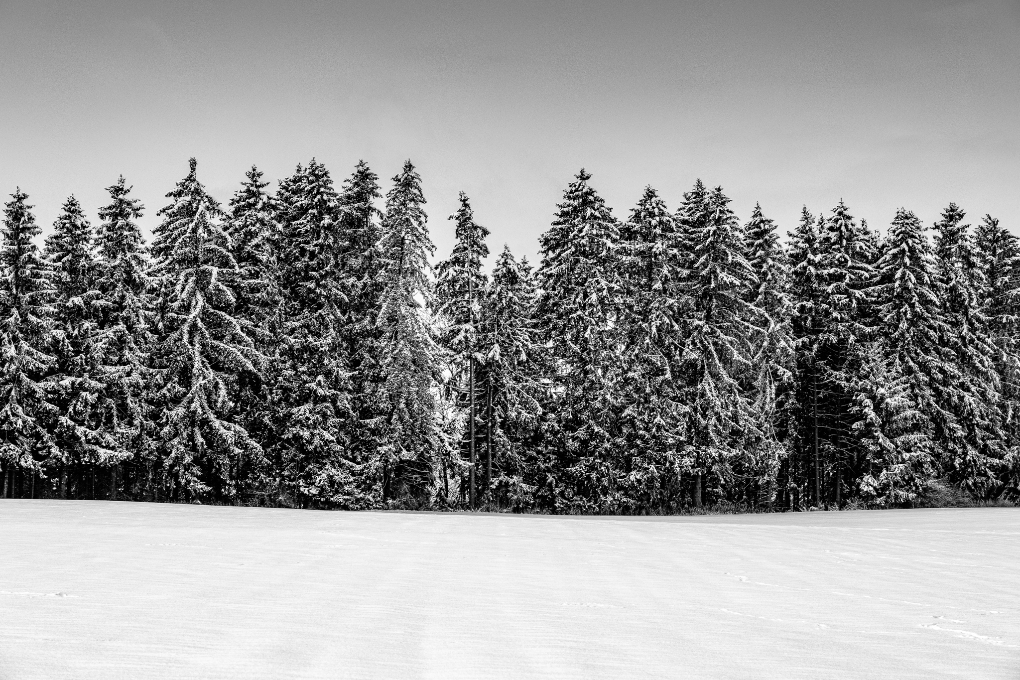 Andreas Gaertner | Photographer | Artist | Deutschland | Nature photography