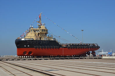 Dubai Shipbuilding & Engineering L.L.C