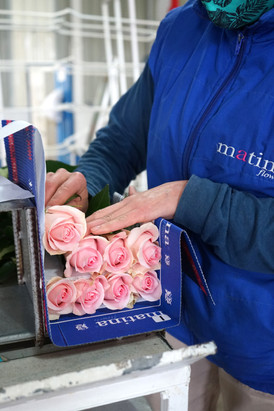 MATINA FLOWERS | PACKAGING