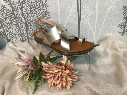 Zeta - Rink (L.Champan) | Lifestyle Footwear