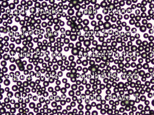 Rink Amide-AM Resin | Applied Polytech