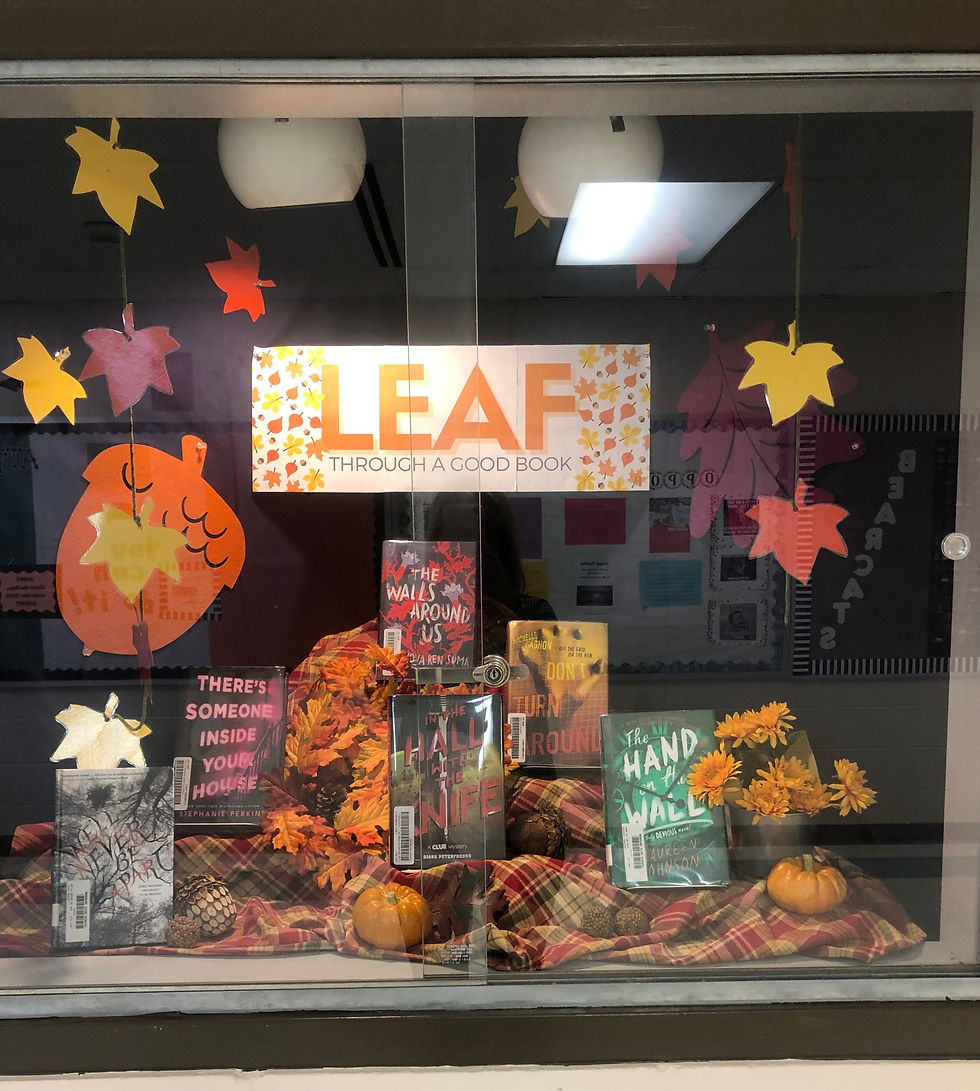 My little display Case