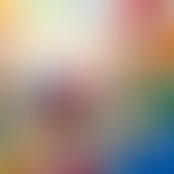 Explore Spring Hill: Your Guide to Local Experiences and Adventures