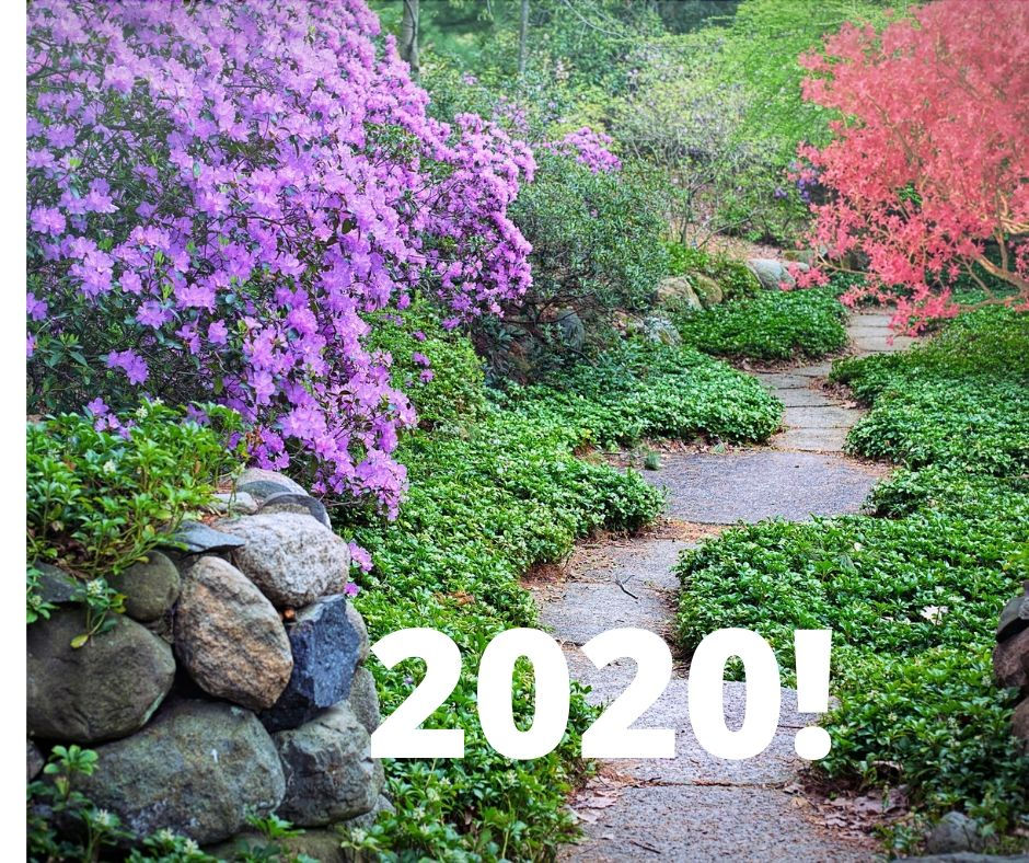 Use these 4 Steps to Guide You in Creating Your Successful 2020!