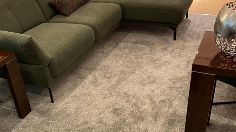 Neutral Colour Carpets
