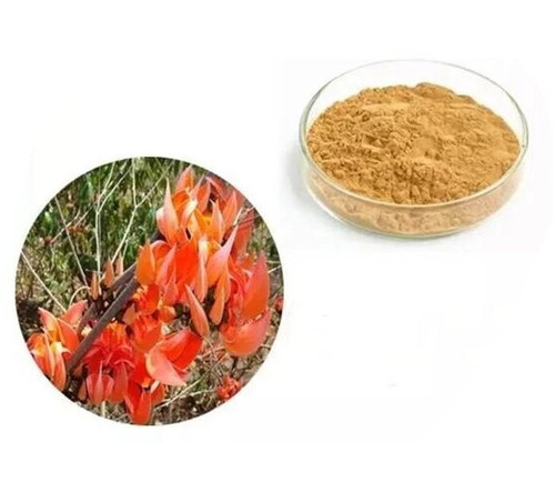 120 Butea Superba 50:1 Extract Capsules | LandM